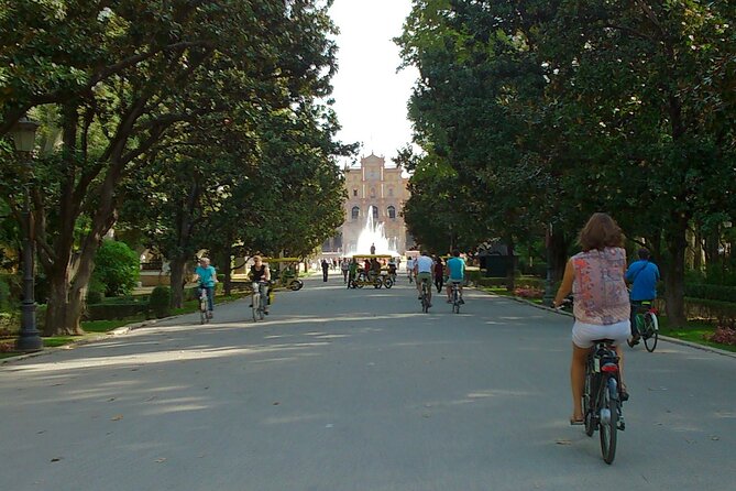 Electric Bike Rental 3 Hours - Overview