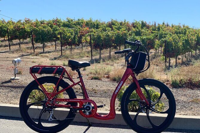 Electric Bike Rental in Livermore - An In-Depth Look at the Livermore Electric Bike Tour
