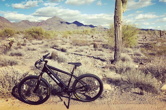 Electric Bike Rental in North Scottsdale Arizona - The Overview: What Makes This Electric Bike Rental Special