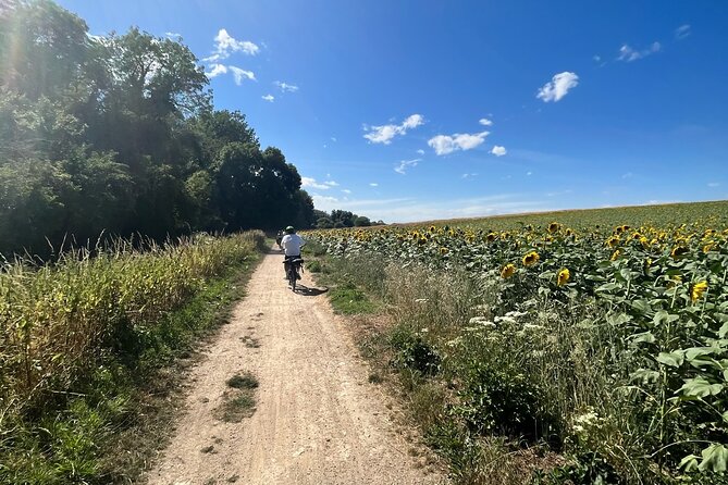 Electric bike rental in Paris - The Experience: What to Expect