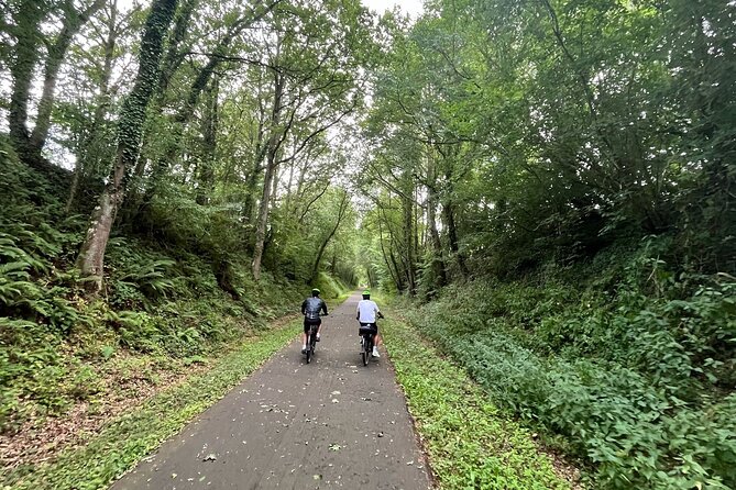 Electric bike rental in Paris - Who Should Consider This Experience?