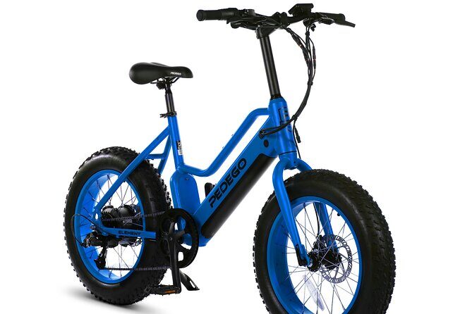 Electric Bike Rentals - A Few Caveats to Consider