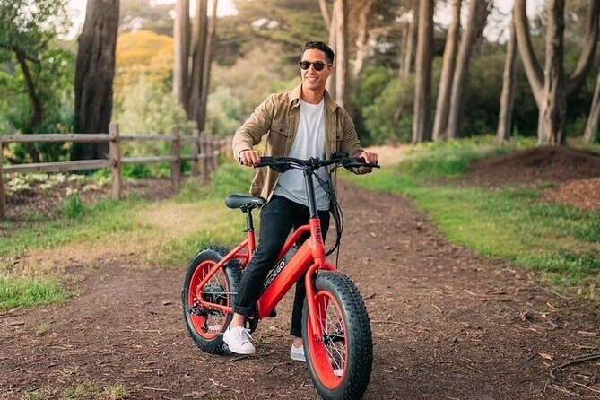 Electric Bike Rentals - Who Will Love This Experience?