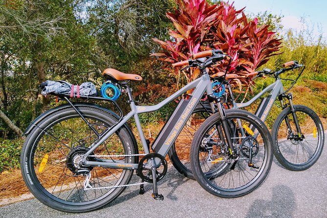 Electric Bike Rentals in The Villages Florida with Delivery - Practical Details and What You Need to Know
