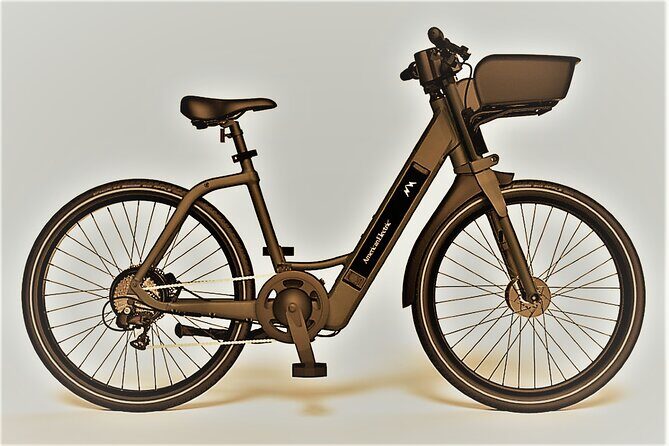 Electric Bike Rentals in The Villages Florida with Delivery - Is This Experience Right for You?