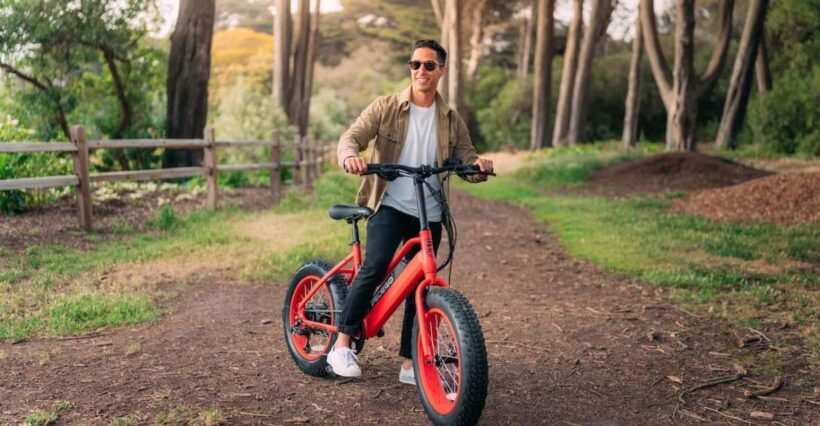Electric Bike Rentals Leesburg, VA: Full Day or Half Day - Why Choose Electric Bike Rentals in Leesburg?