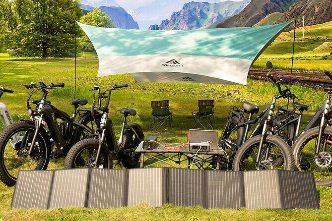 Electric Bike Rentals with Delivery - Key Points
