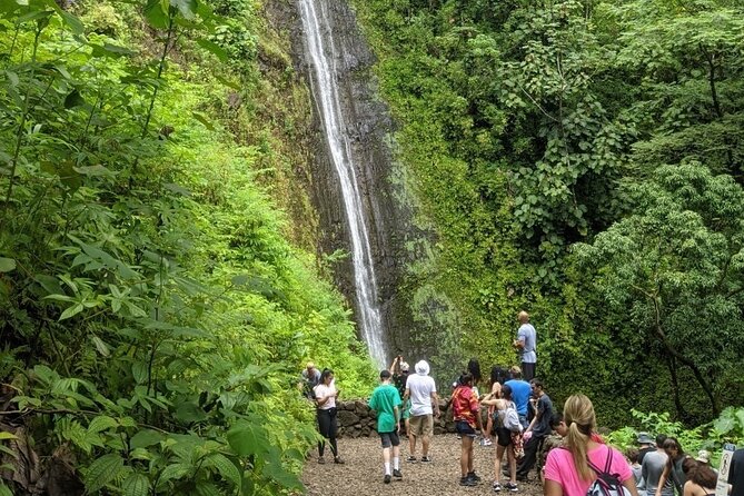 Electric Bike Ride & Manoa Falls Hike Tour - Meeting and Pickup Details