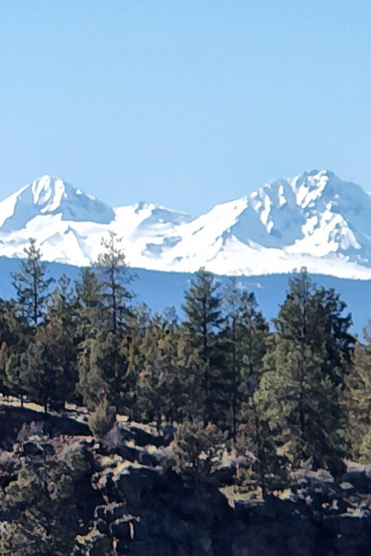 Electric Bike Tour of Bend & Deschutes River - Authentic Feedback from Past Travelers