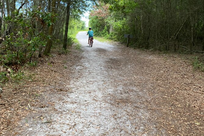 Electric Bike Tours in Amelia Island - Guided Tour Highlights