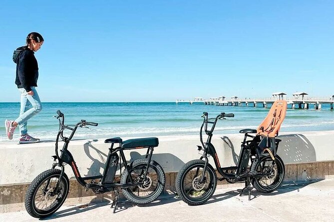 Electric Bike Wildlife & History Tour along Fort De Soto's Beaches - Who Would Love This Tour?