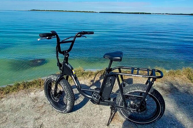 Electric Bike Wildlife & History Tour along Fort De Soto's Beaches - FAQs