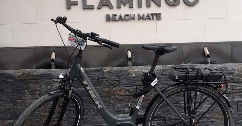 Electric City Bike Rental with Hotel Delivery - Practicalities and Tips for Your Ride