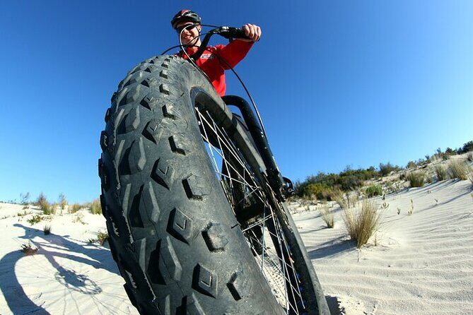 Electric Fat Bike Tour in Kangaroo Island - Why Travelers and Reviewers Love This Experience
