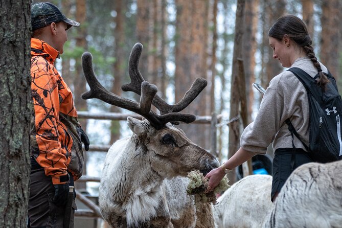 Electric Fatbike Trip to the Reindeer Farm - Who Will Love This Tour?