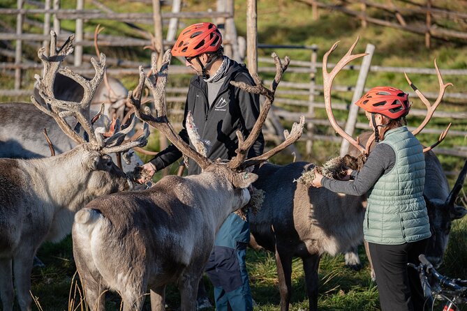 Electric Fatbike Trip to the Reindeer Farm - Final Thoughts