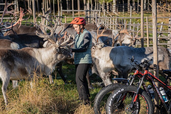 Electric Fatbike Trip to the Reindeer Farm - FAQ