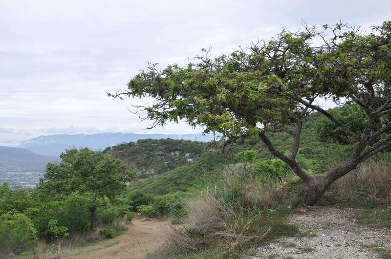 Electric Mountain bike in Oaxaca - Authentic Experiences and Authenticity