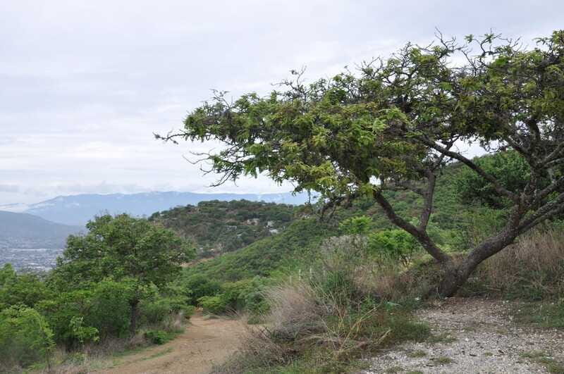 Electric Mountain bike in Oaxaca - FAQ - Frequently Asked Questions