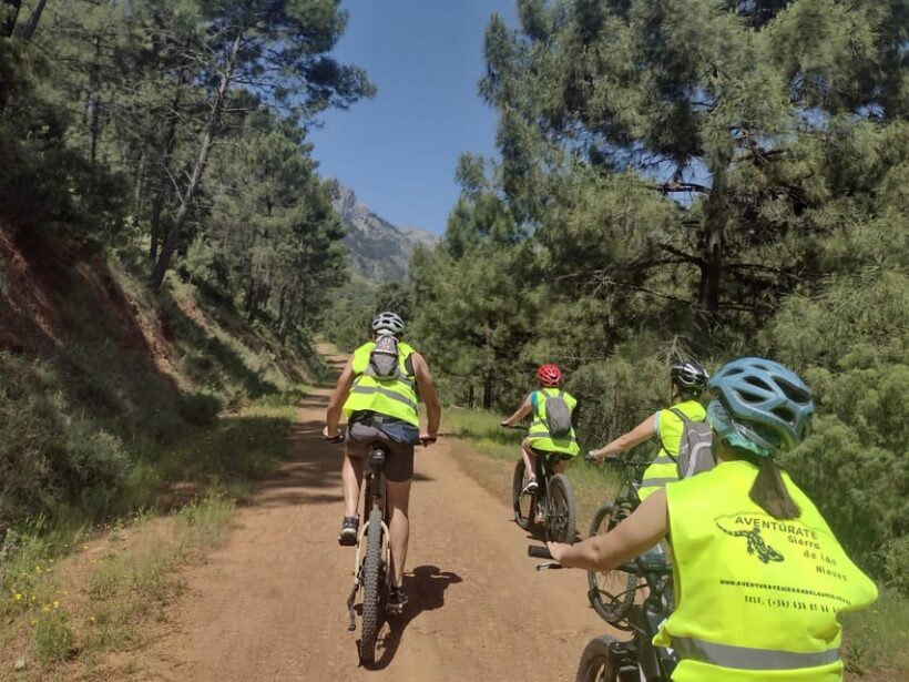 Electric mountain bike in Sierra de las Nieves national park - Practical Details: Value, Duration, and Logistics