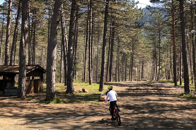 Electric Mountain Bike Rental in Bobbio - Key Points