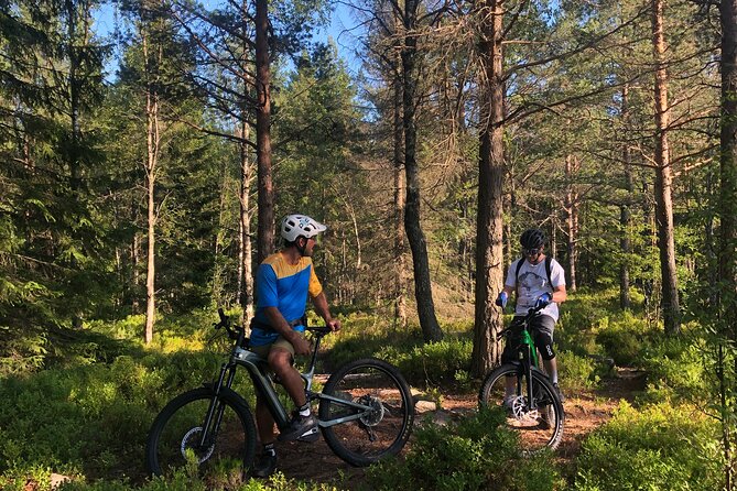 Electric Mountain Bike Rental in Oslo - Detailed Breakdown of the Experience