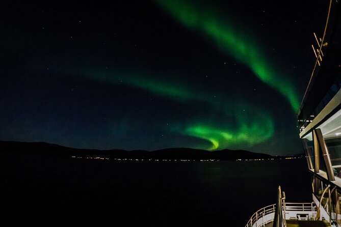 Electric Northern Lights Cruise - Accessibility and Participation