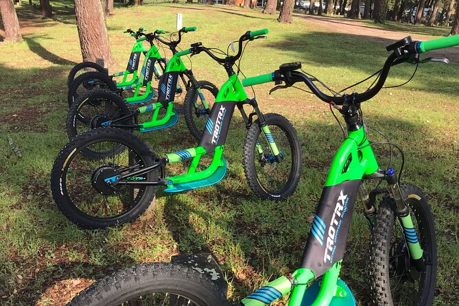 Electric Scooter Excursion With Tapas Aperitif - Participation Requirements and Considerations