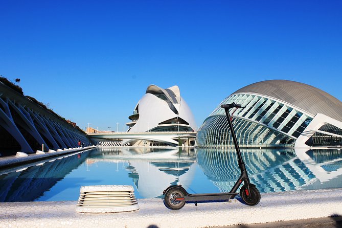 Electric Scooter Rental - Health and Accessibility Considerations