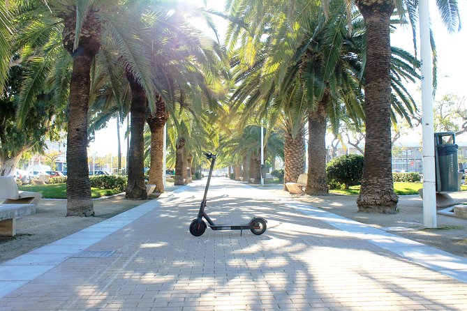 Electric Scooter Rental - Exploring Valencia on an Electric Scooter