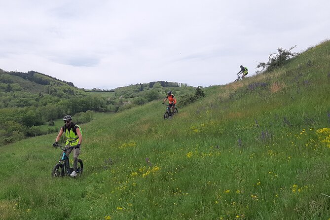 Electric scooter ride in the West of Lyon - Who Will Enjoy This Tour?
