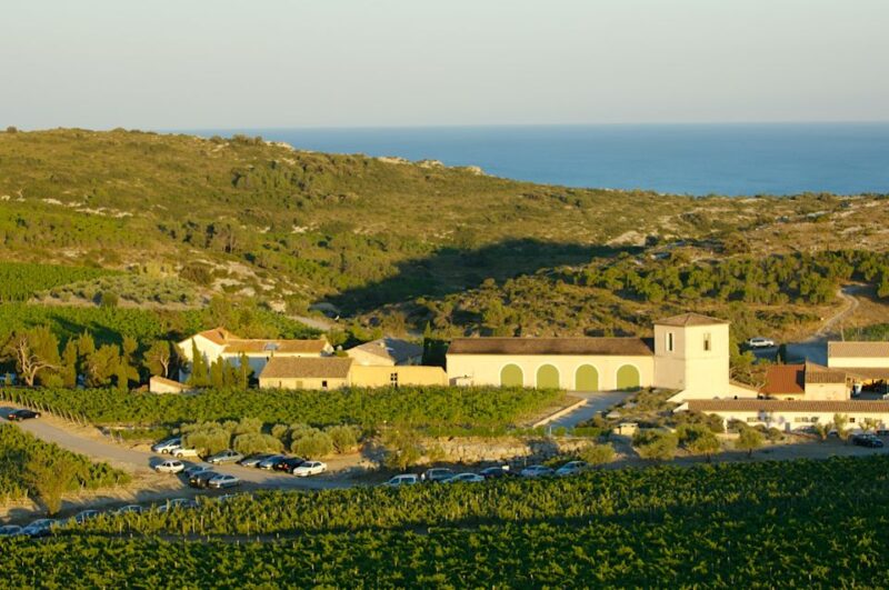 Electric Scooter Tour of our vineyard and Wine Tasting - Final Thoughts: Is It Worth It?