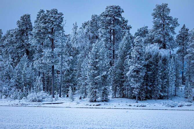 Electric Snow Scooters Tour - Key Points