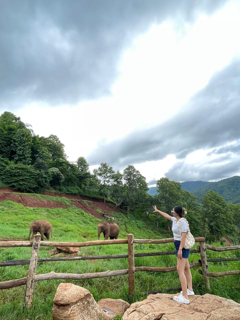 Elefin Farm & Cafe Half-day tour with Private Car - Who Should Consider This Tour?