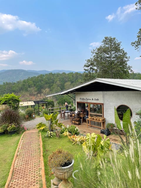 Elefin Farm & Cafe Half-day tour with Private Car - Final Thoughts