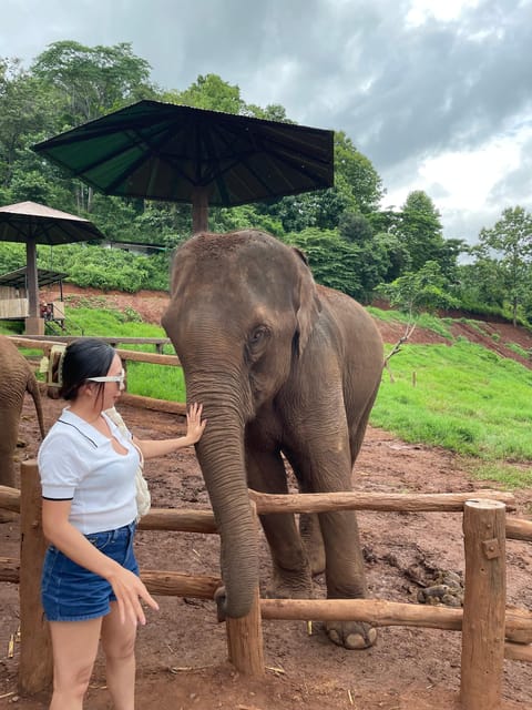 Elefin Farm & Cafe Half-day tour with Private Car - FAQs