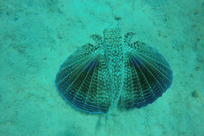 Elegance Catamaran turtles swim and lunch cruise - An Honest Look at the Cruise Itinerary