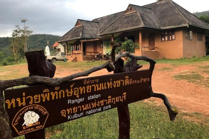 Elephant and Wildlife Watching in Kuiburi National Park - Private Afternoon Tour - Final Recommendations