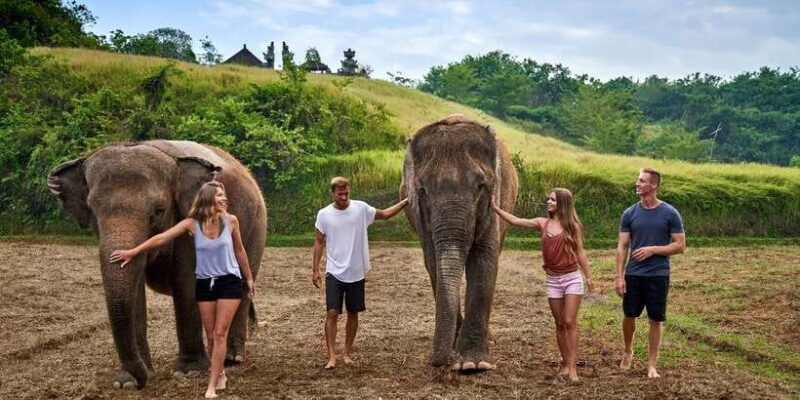 Elephant Care Experience with Mud Bath at Bali Zoo - Key Points
