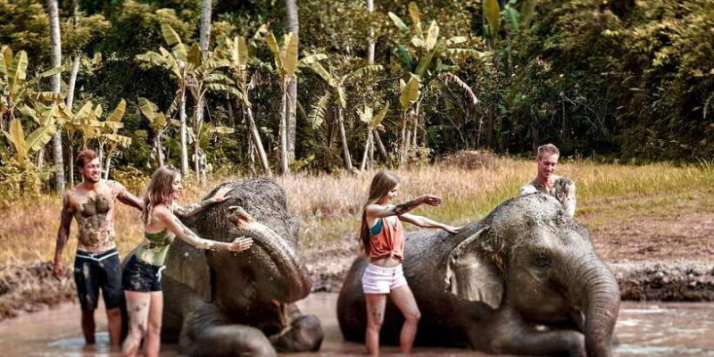 Elephant Care Experience with Mud Bath at Bali Zoo - How Is the Day Structured?