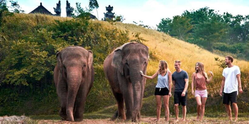 Elephant Care Experience with Mud Bath at Bali Zoo - What’s Included and How Does That Add Up?
