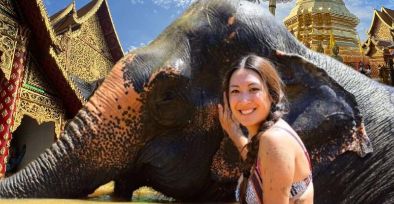 Elephant care with Wat Umong, Doi Suthep and Night City view - Key Points