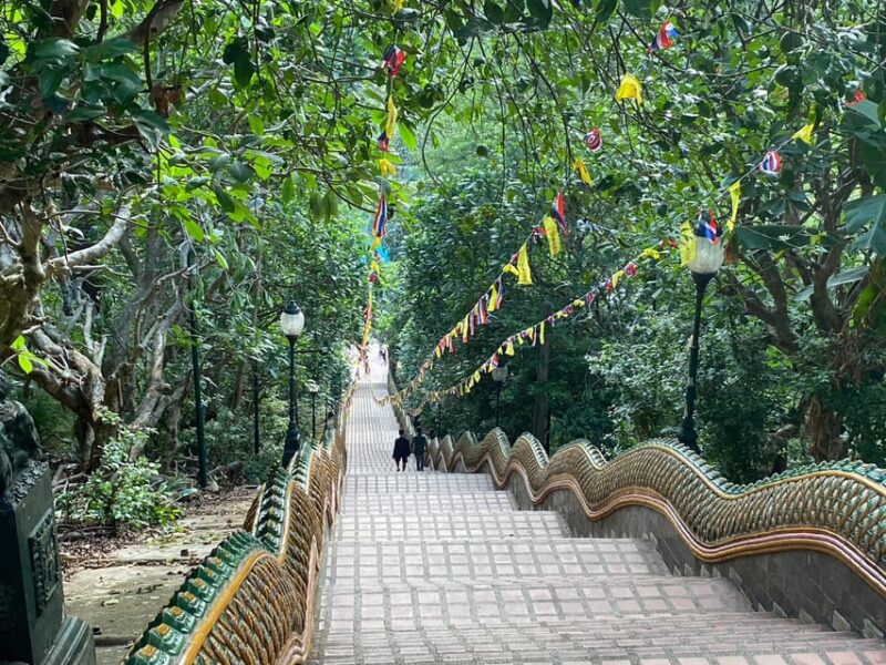 Elephant care with Wat Umong, Doi Suthep and Night City view - The Value of This Experience