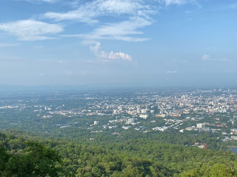 Elephant care with Wat Umong, Doi Suthep and Night City view - Who Will Love This Tour?