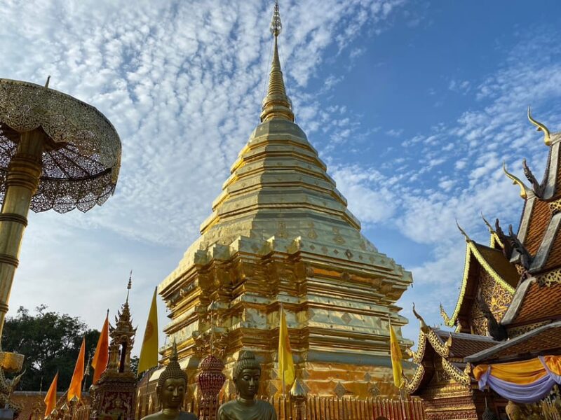 Elephant care with Wat Umong, Doi Suthep and Night City view - FAQ