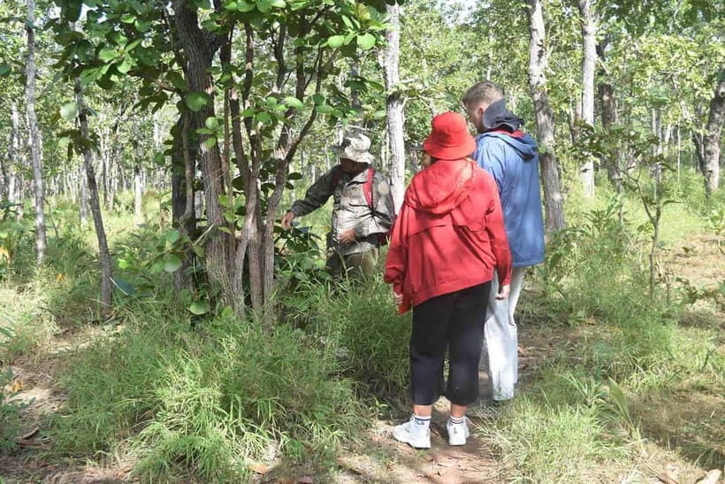 Elephant experience tour in Tay Nguyen - What Other Travelers Say