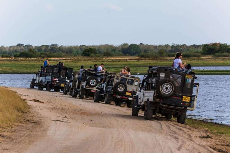 Elephant Jeep Safari at Minneriya National Park - Key Points