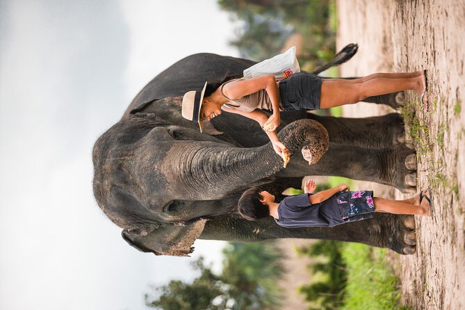 Elephant Jungle Sanctuary: Half Day Afternoon Program - Transport, Timing, and Group Size