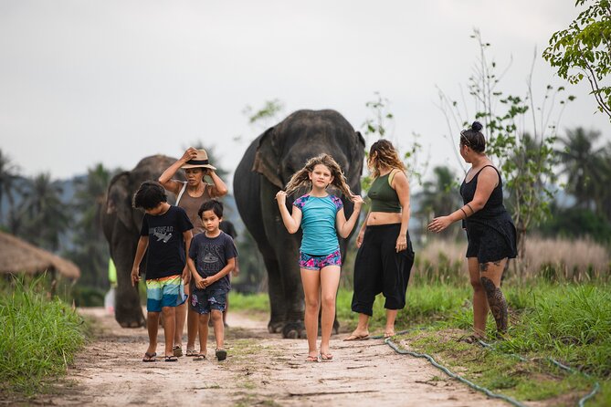 Elephant Jungle Sanctuary: Half Day Afternoon Program - Final Thoughts: Is It Worth It?