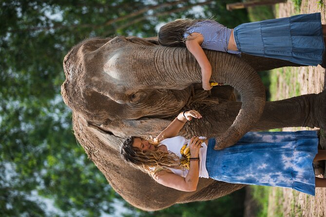 Elephant Jungle Sanctuary: Half Day Morning Program - Transportation and Convenience